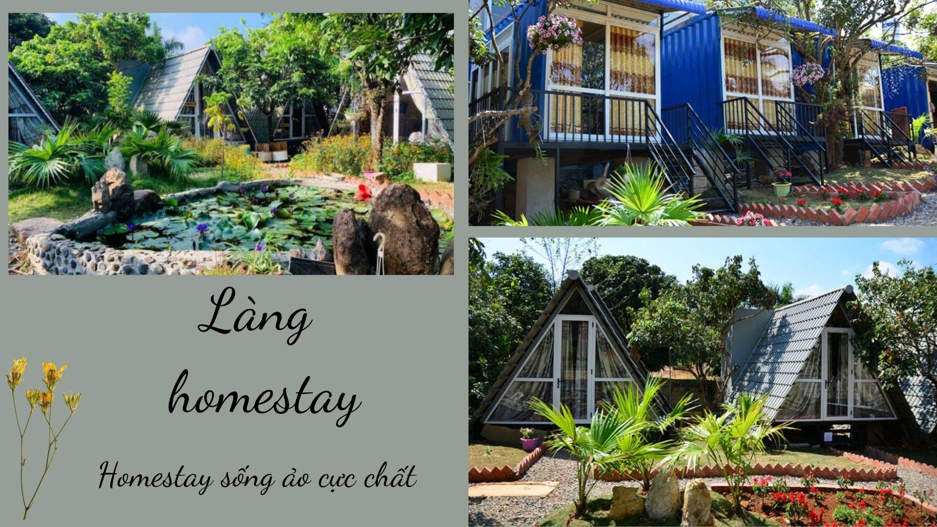 Top 20 Homestay Mộc Châu Sơn La giá rẻ đẹp view núi rừng gần đồi chè