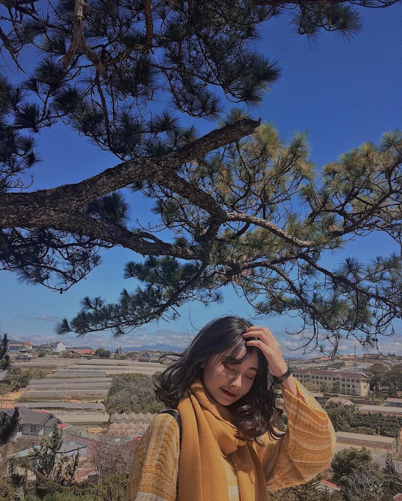 Đèo Prenn Đà Lạt - Khám phá con đèo đẹp nhất Đà Lạt có gì vui?